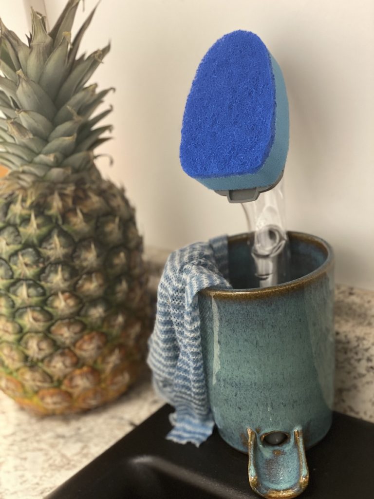 Teal Kitchen Sponge Holder | Business Talk Sister Gawk